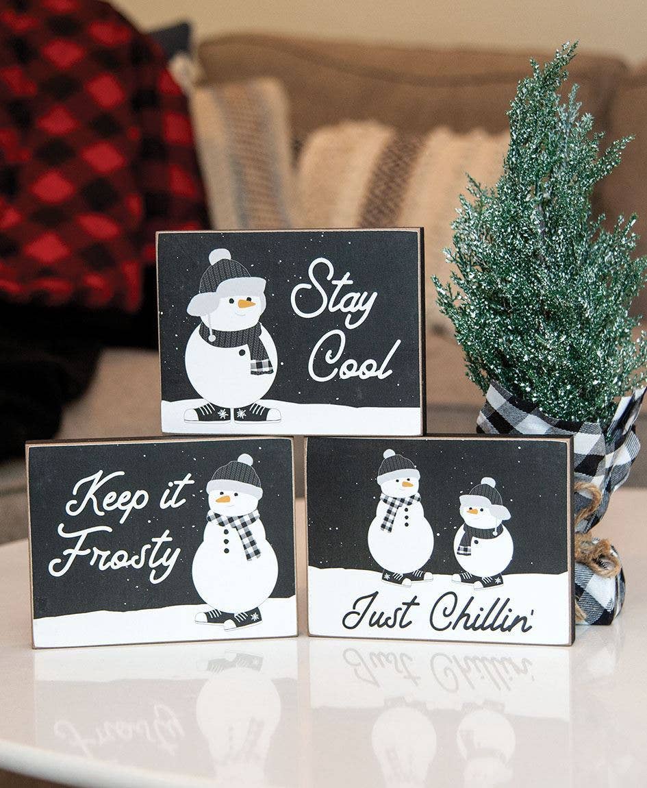 Stay Cool Snowman Block, 3 Assorted - Pro Day Spa